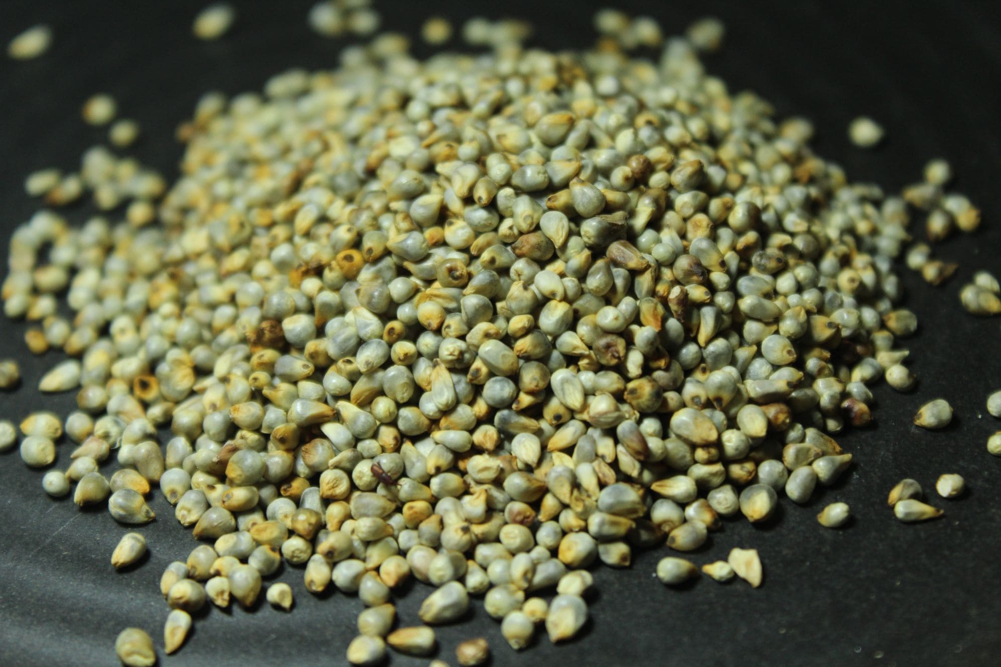 Green Millet Exporters | Pak Arab Agro Industries