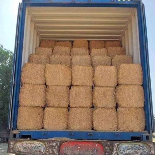 Mustard Straw Exporters | Pak Arab Agro Industries