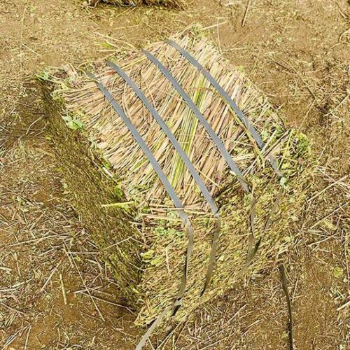 Peanut Straw Exporters | Pak Arab Agro Industries