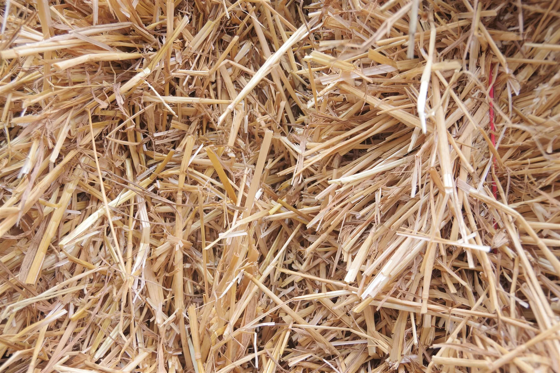 Wheat Straw Exporters | Pak Arab Agro Industries